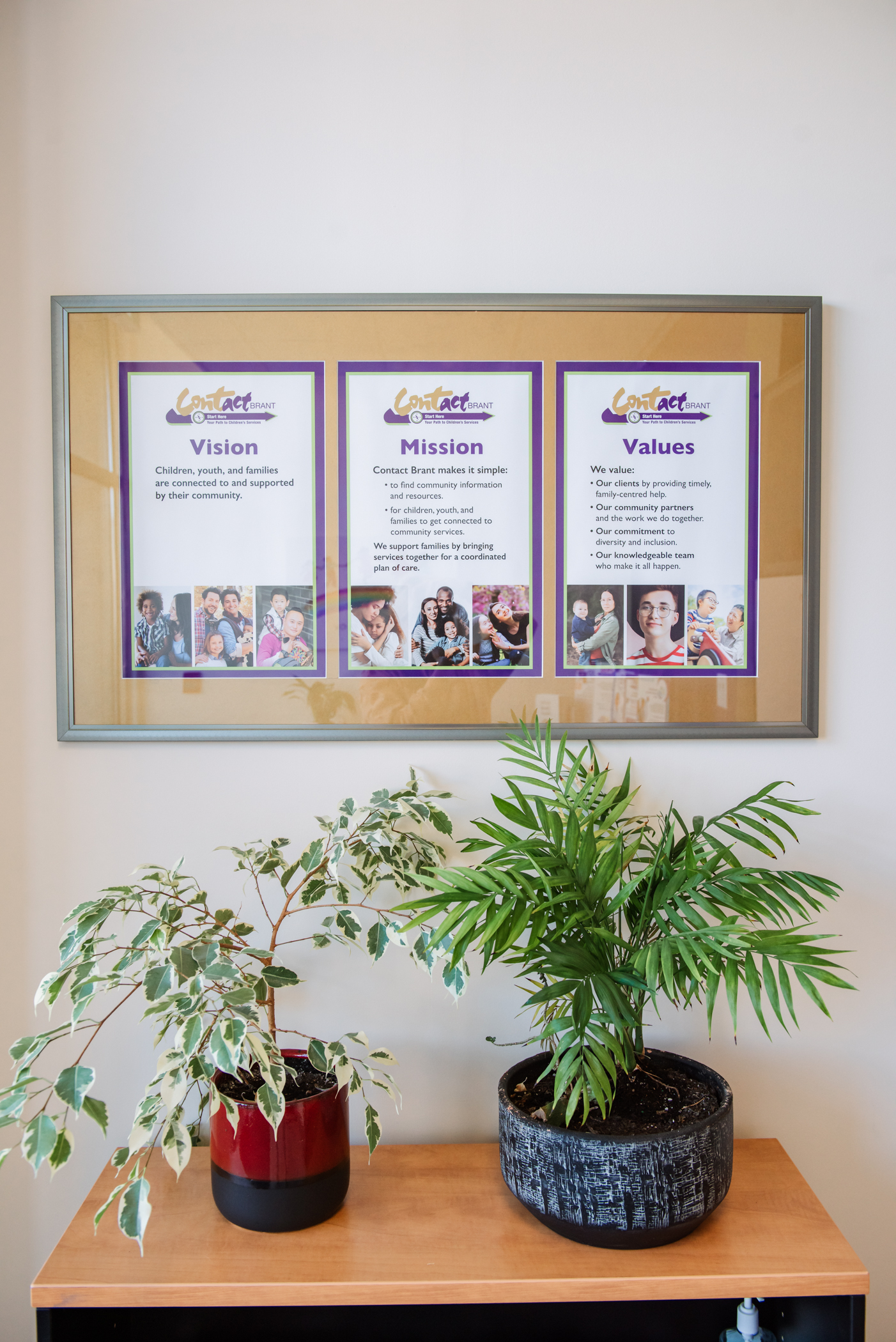 Our Vision, Mission and Values - Contact Brant